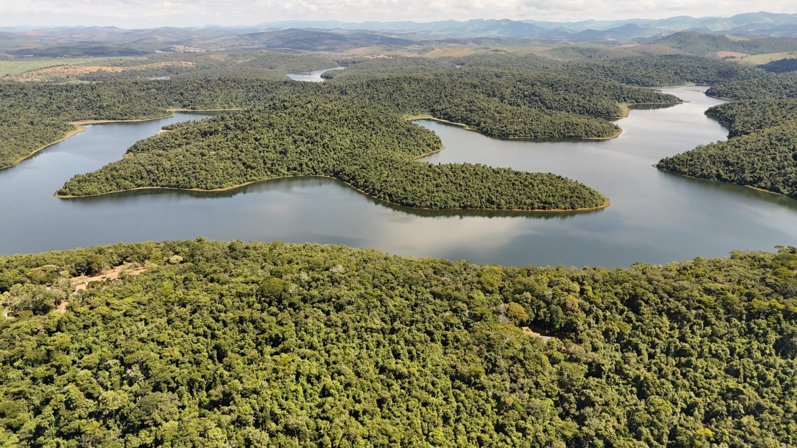 Parque Estadual do Rio Doce: guia completo da visita