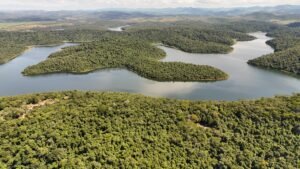 Parque Estadual do Rio Doce: guia completo da visita
