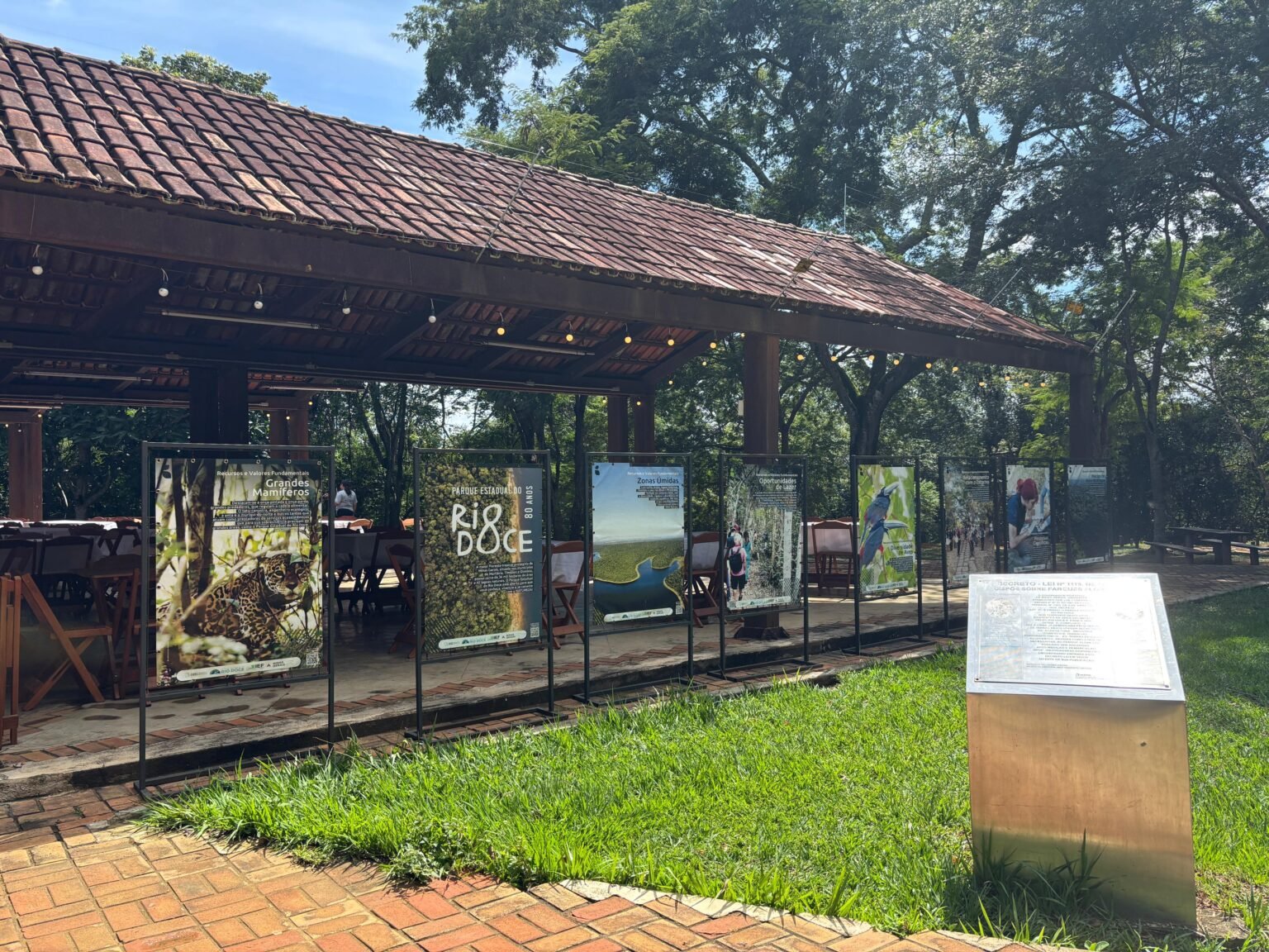 Parque Estadual do Rio Doce: guia completo da visita