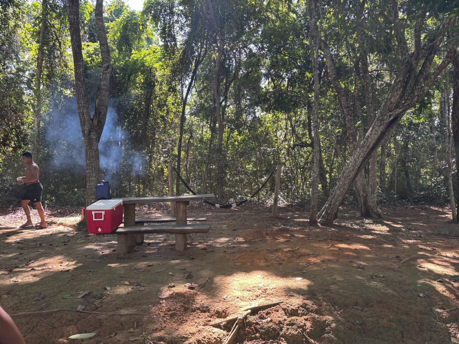 Parque Estadual do Rio Doce: guia completo da visita