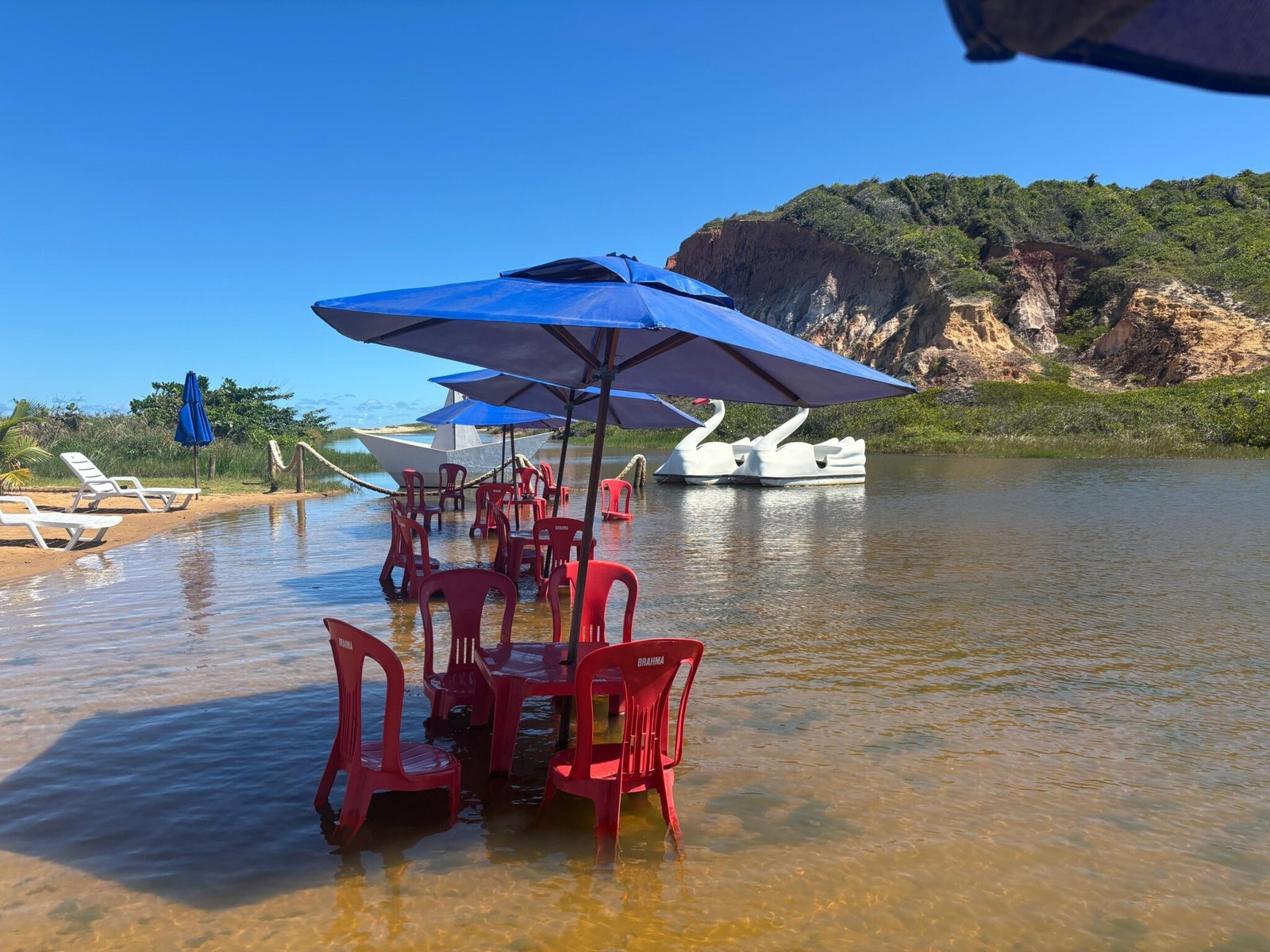 O que fazer na Praia do Gunga em Maceió: passeios, dicas e como chegar